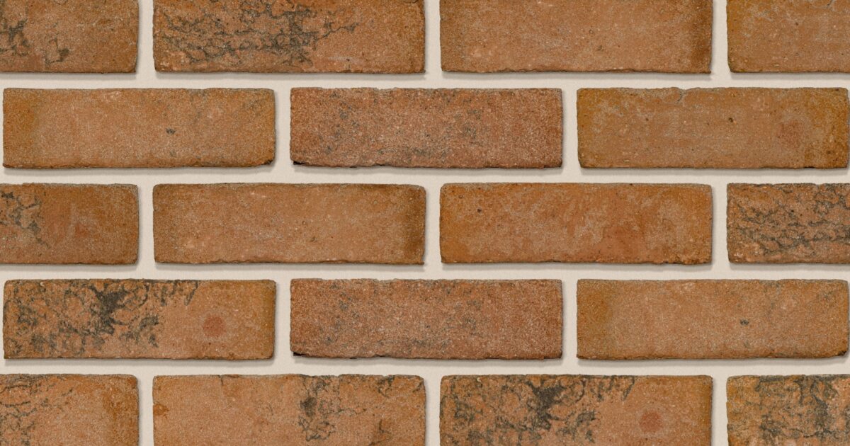 Newfield Multi | Facing Brick
