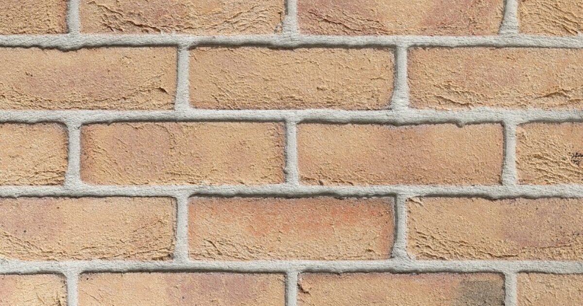 Baltic Amber | Facing Brick