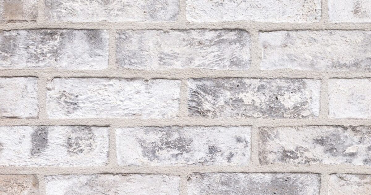 Iced Grey Multi | Facing Brick