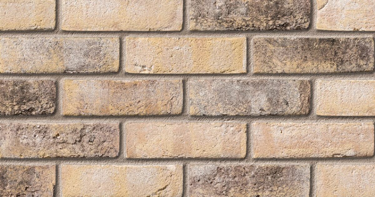 New Ivanhoe Cream | Facing Brick