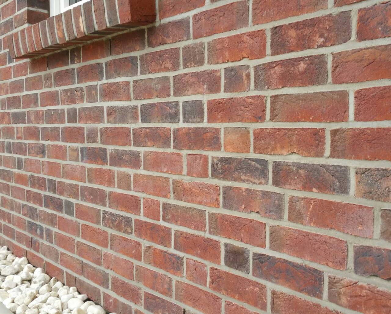 Morado | Facing Brick