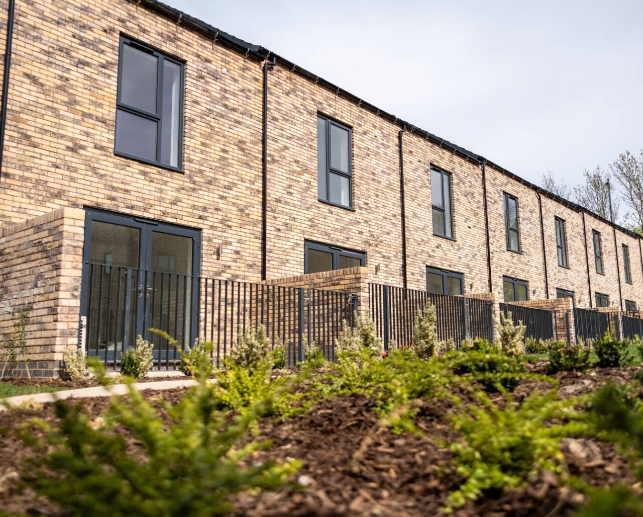 New Ivanhoe Cream | Facing Brick