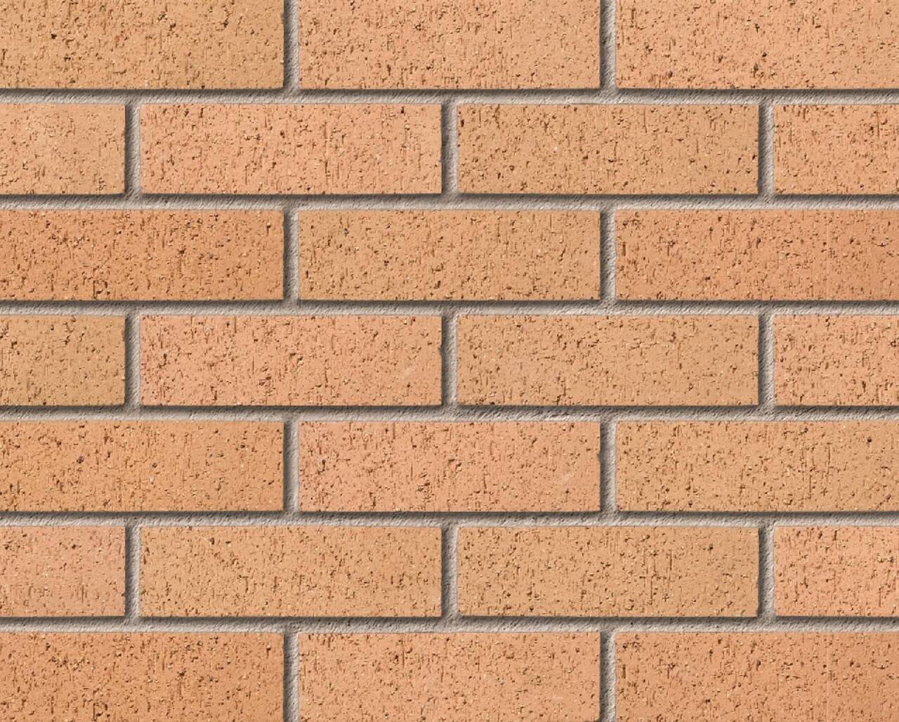 Bristol Gold | Facing Brick