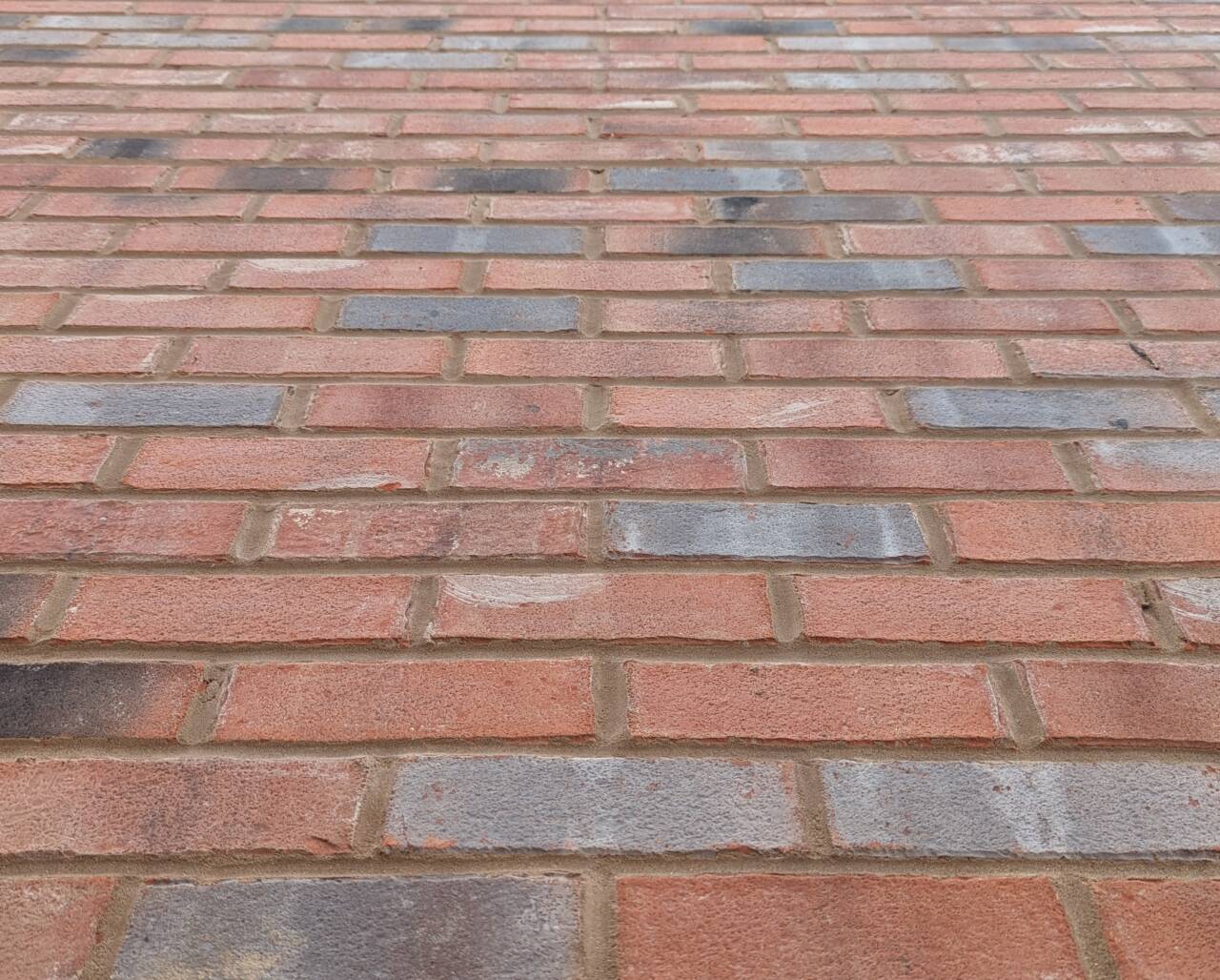 Cambria | Facing Brick