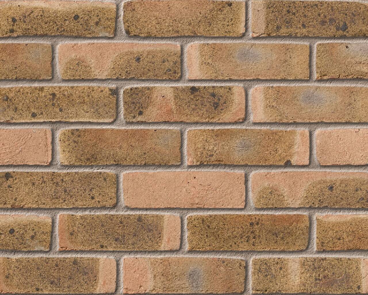 Coleridge Yellow Multi | Facing Brick