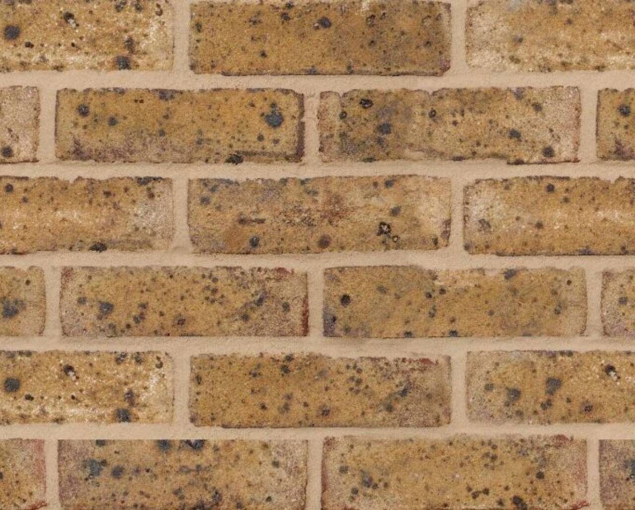 Danehill Yellow | Facing Brick