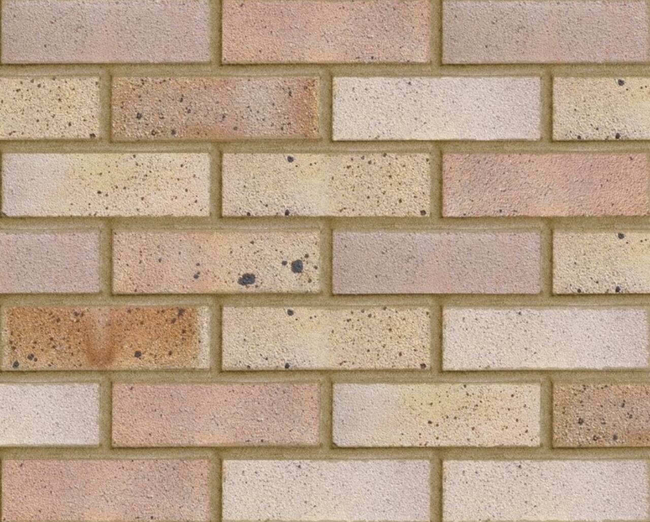 Dapple Light | Facing Brick