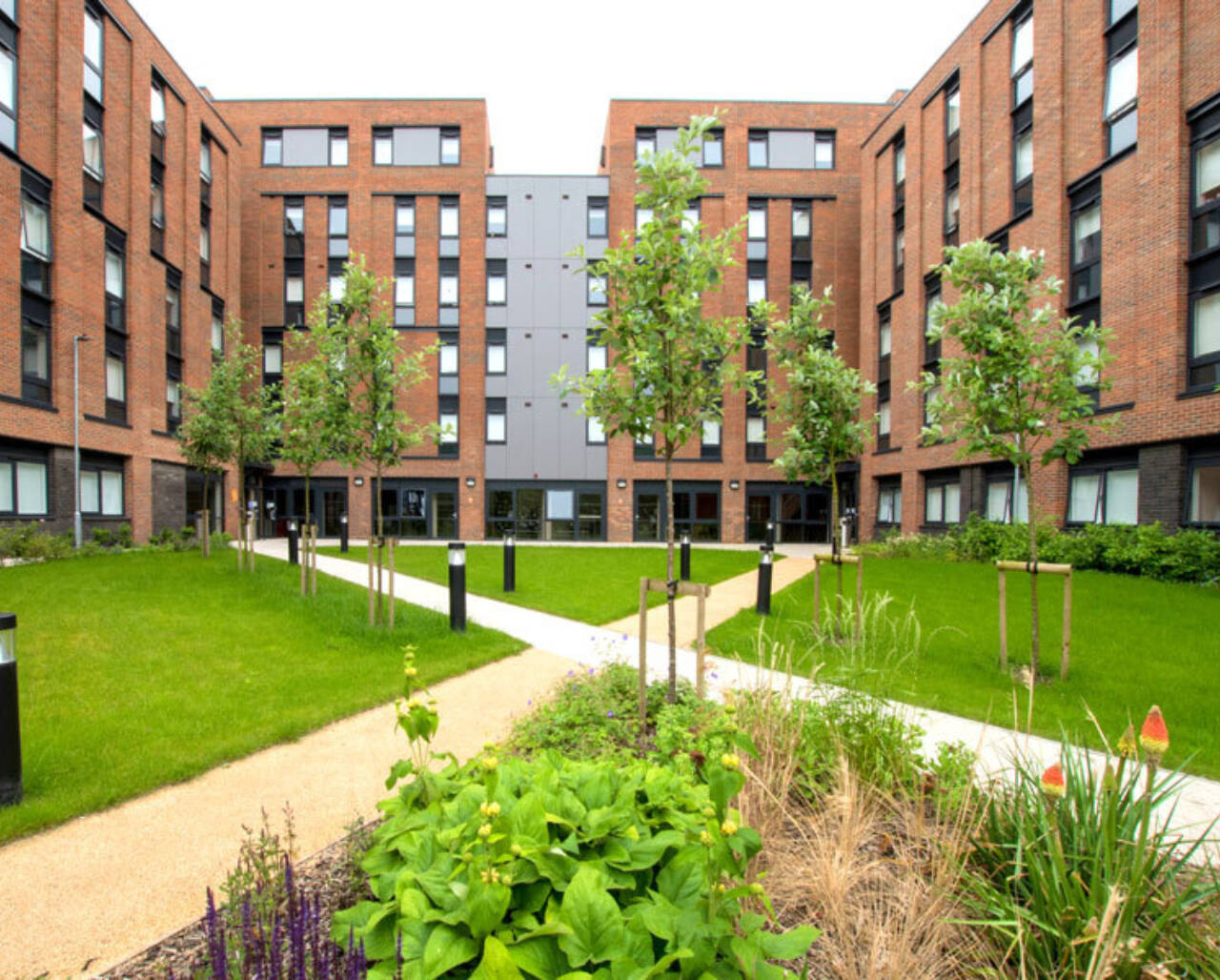 Selected Light | Facing Brick