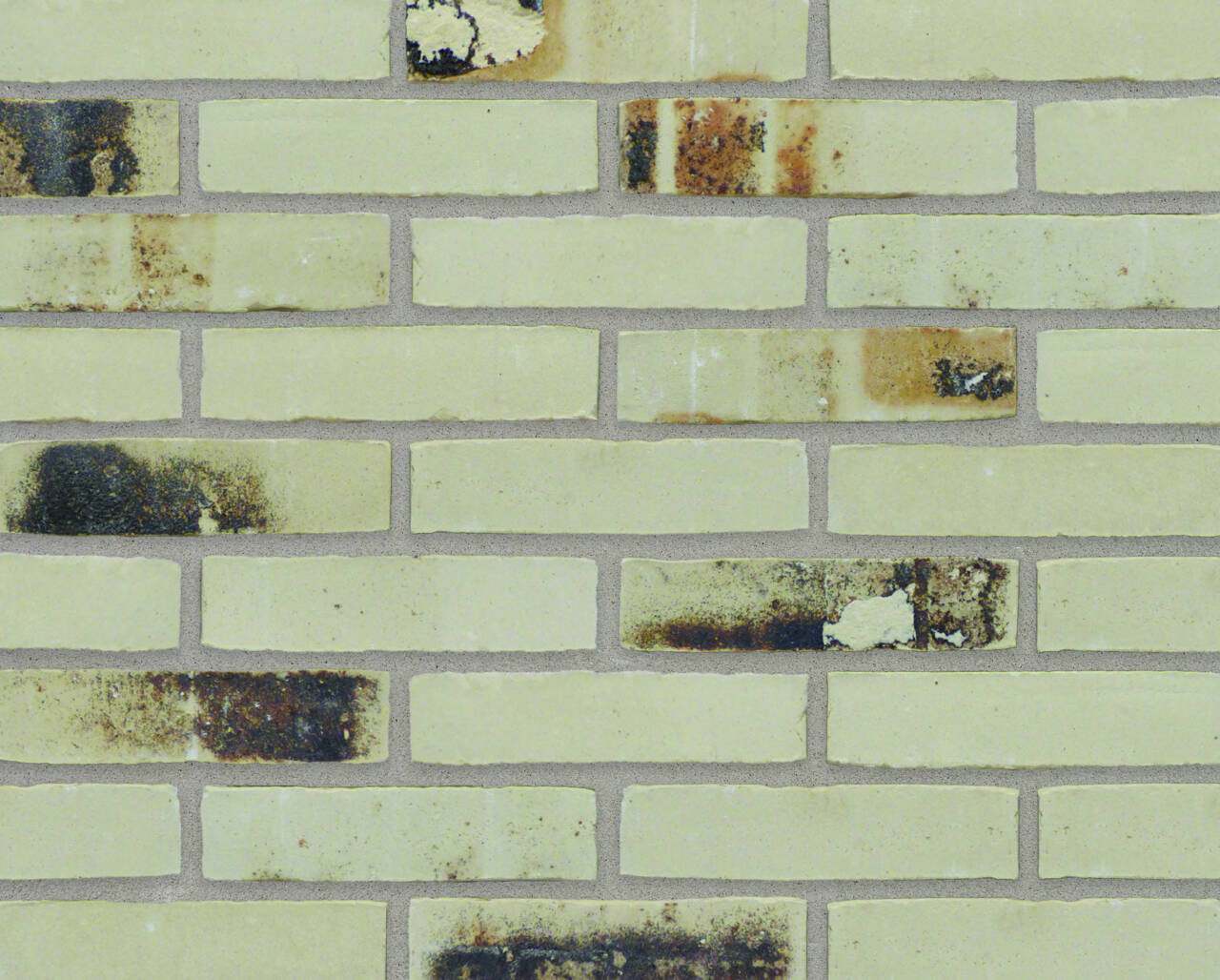 Fortress | Facing Brick