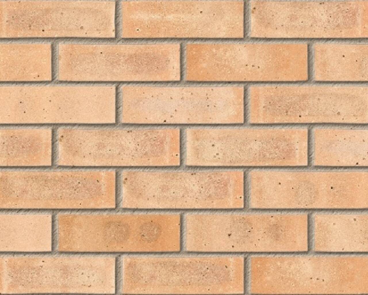 Hardwicke Minster Sandstone Mixture | Facing Brick