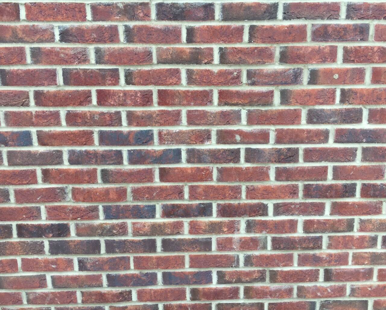 Morado | Facing Brick