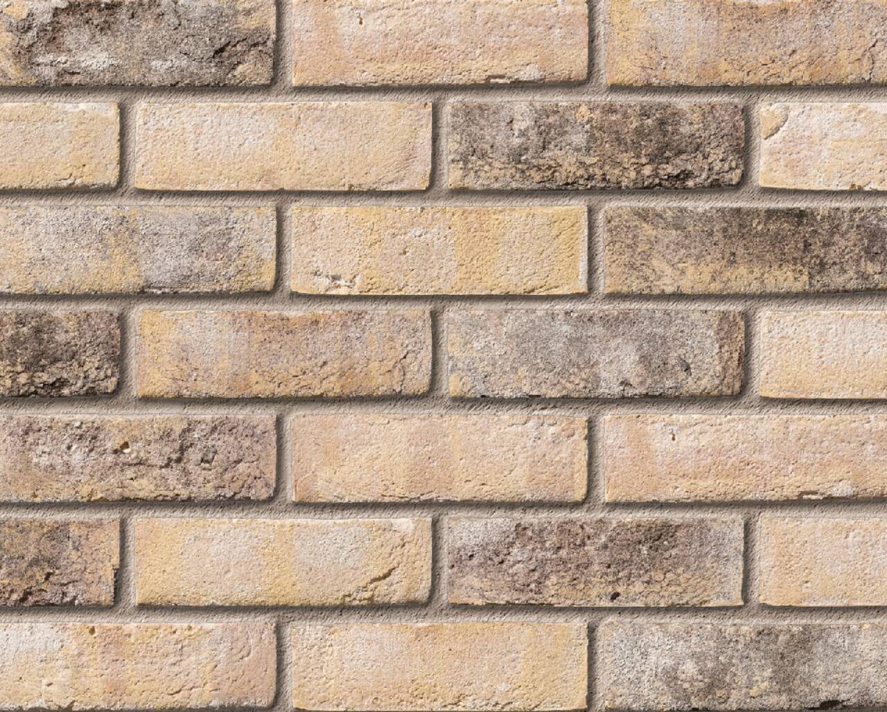 New Ivanhoe Cream | Facing Brick