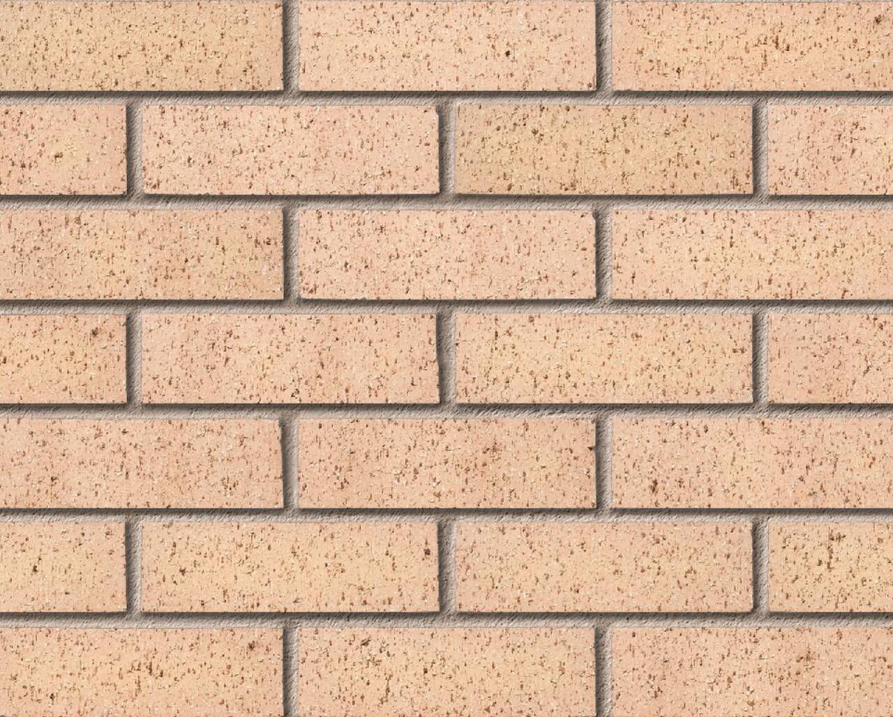 Oatmeal Textured | Facing Brick