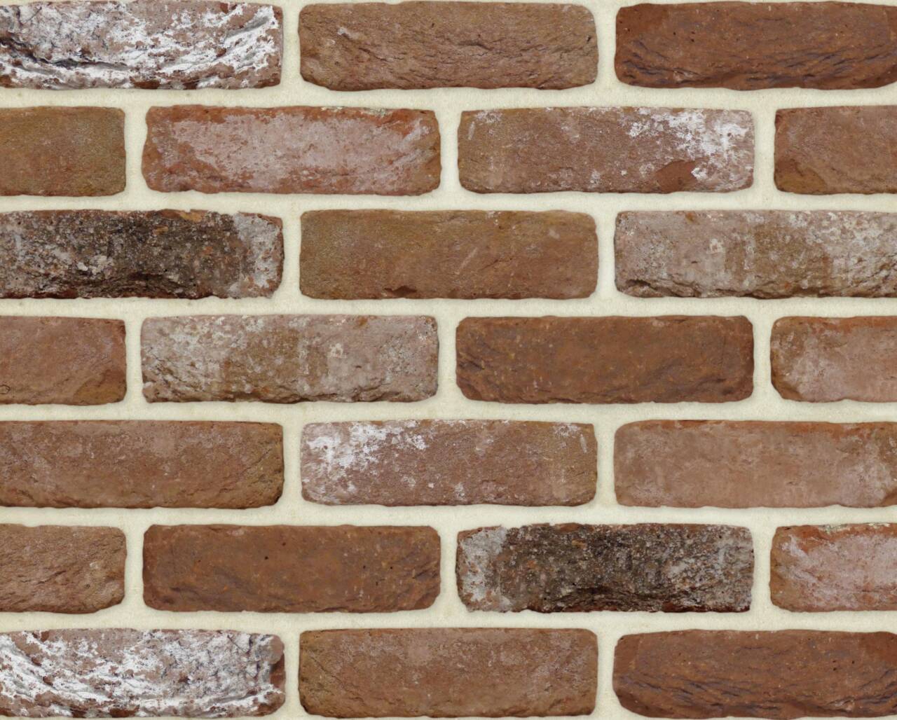 Olde Napier | Facing Brick