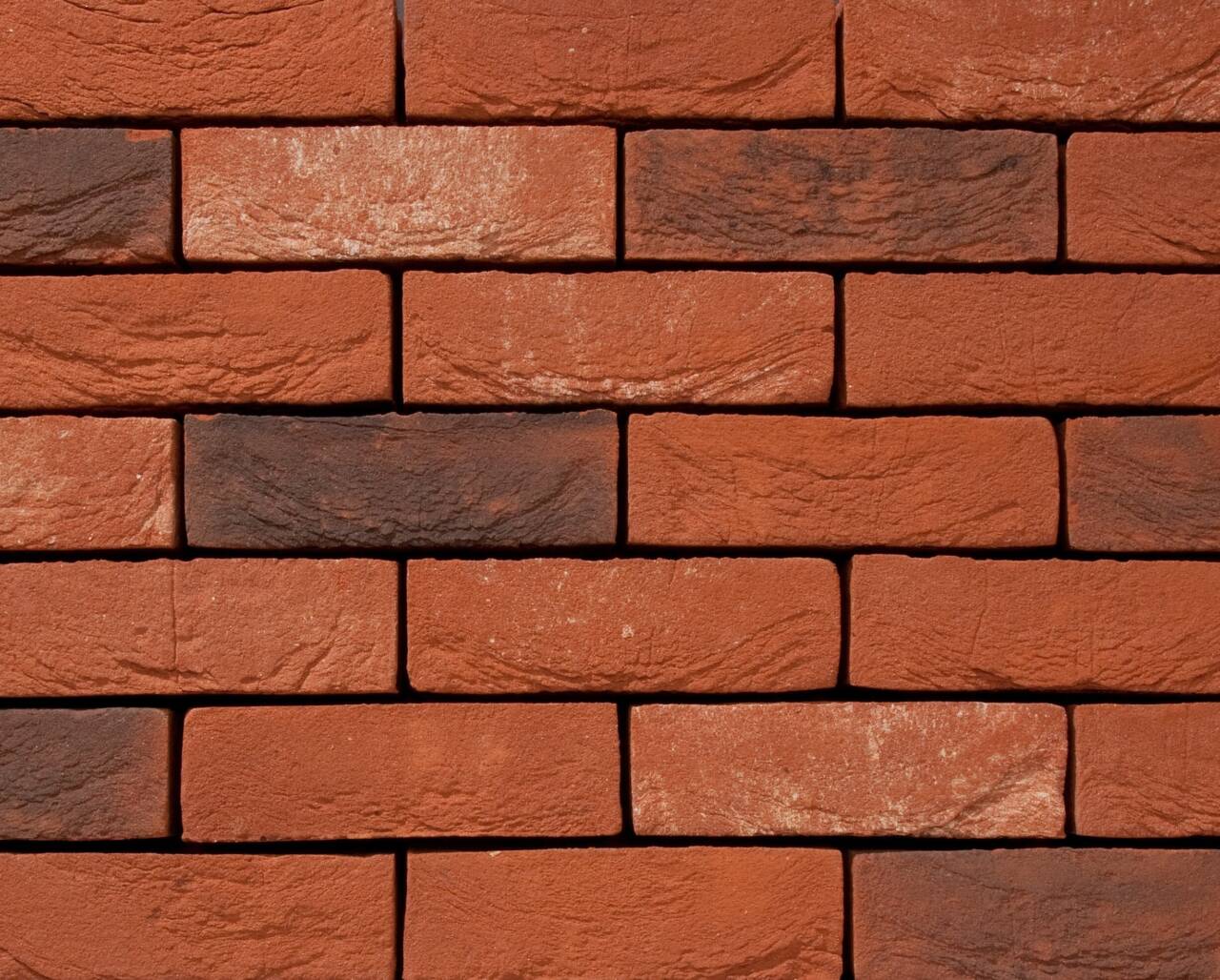 Roxton | Facing Brick