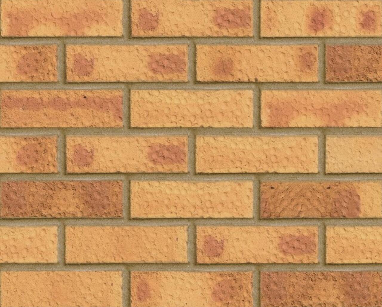 Saxon Gold | Facing Brick