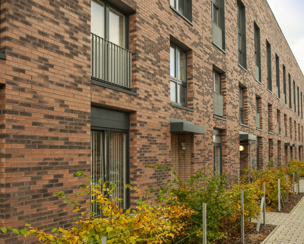 Heritage Dragwire | Facing Brick