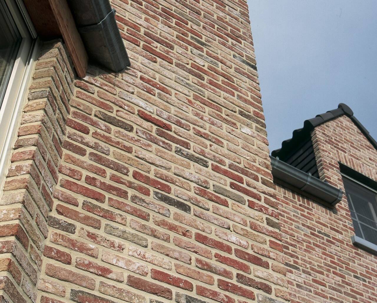 Venus Rustica | Facing Brick