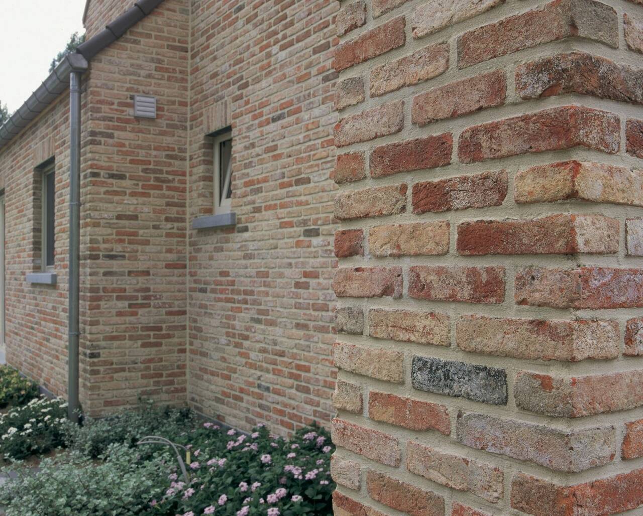 Venus Rustica | Facing Brick