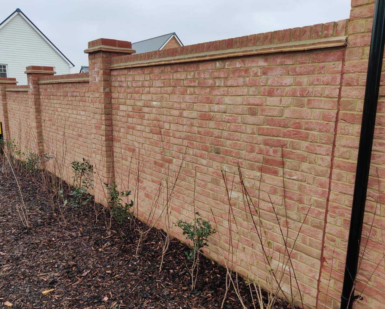 Zircon | Facing Brick