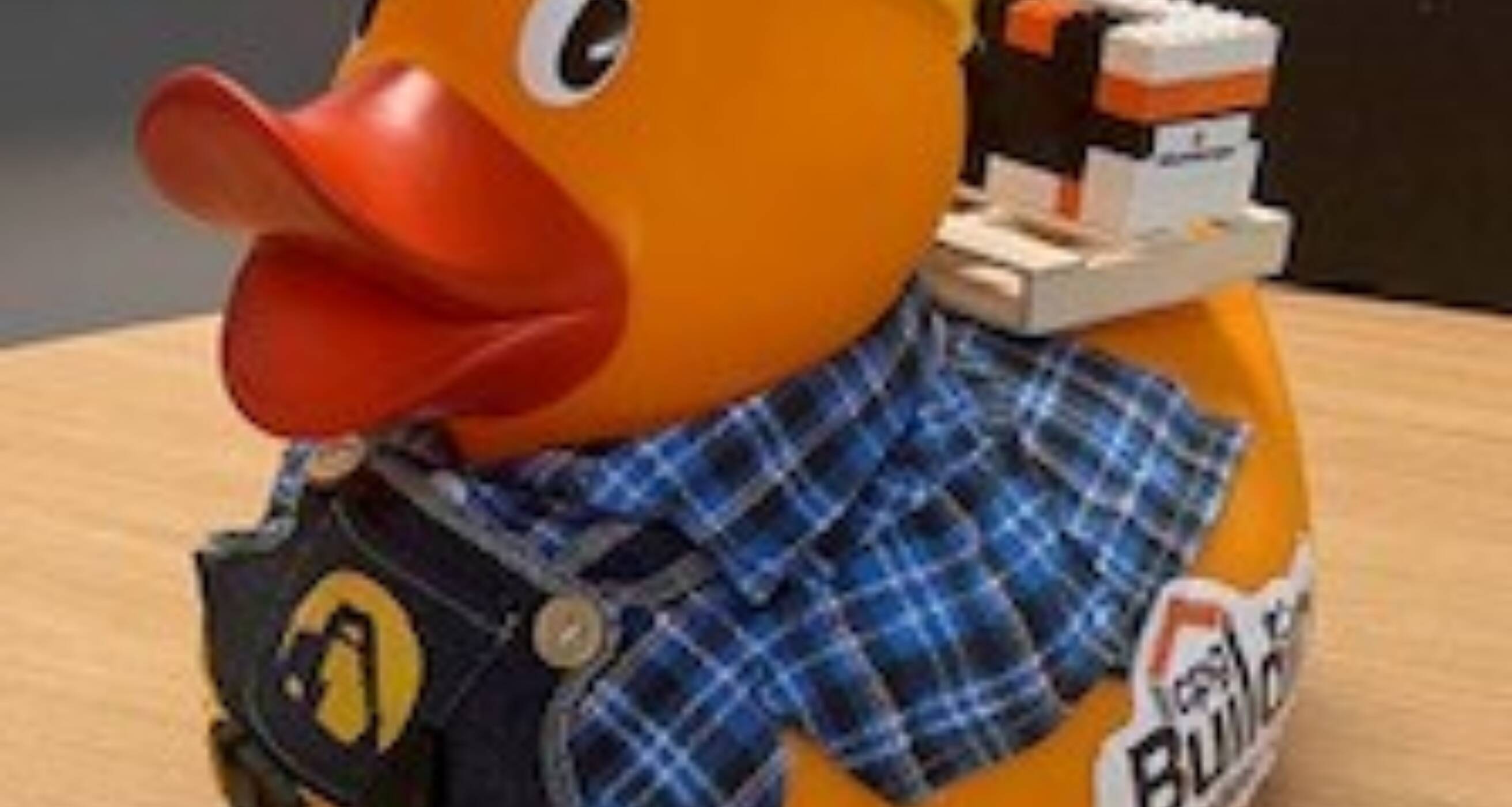 Digger the Duck for Bury Hospice