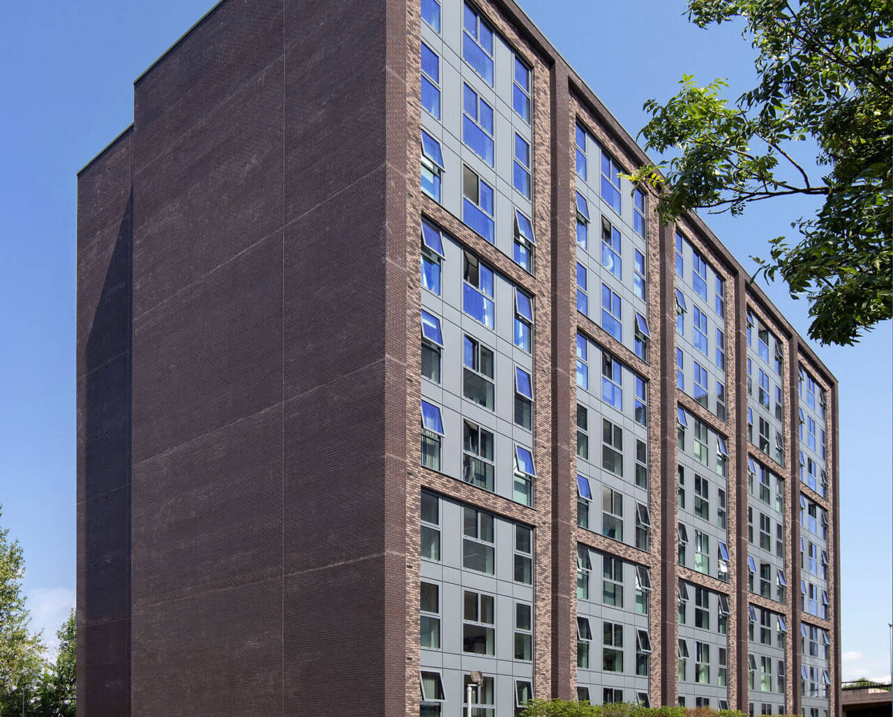 Synthesis S12 | Facing Brick